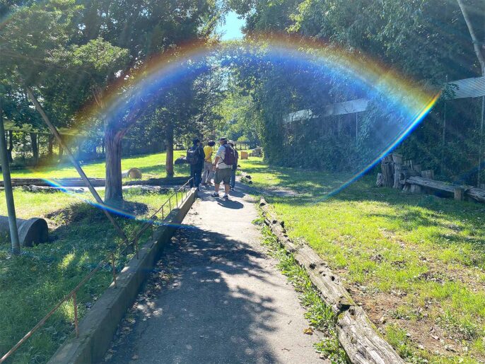 北きつね牧場 施設の紹介 | information | 北きつね牧場