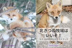 北きつね牧場はいいぞ！ 北きつね牧場非公式ガイドブック | 北きつね牧場